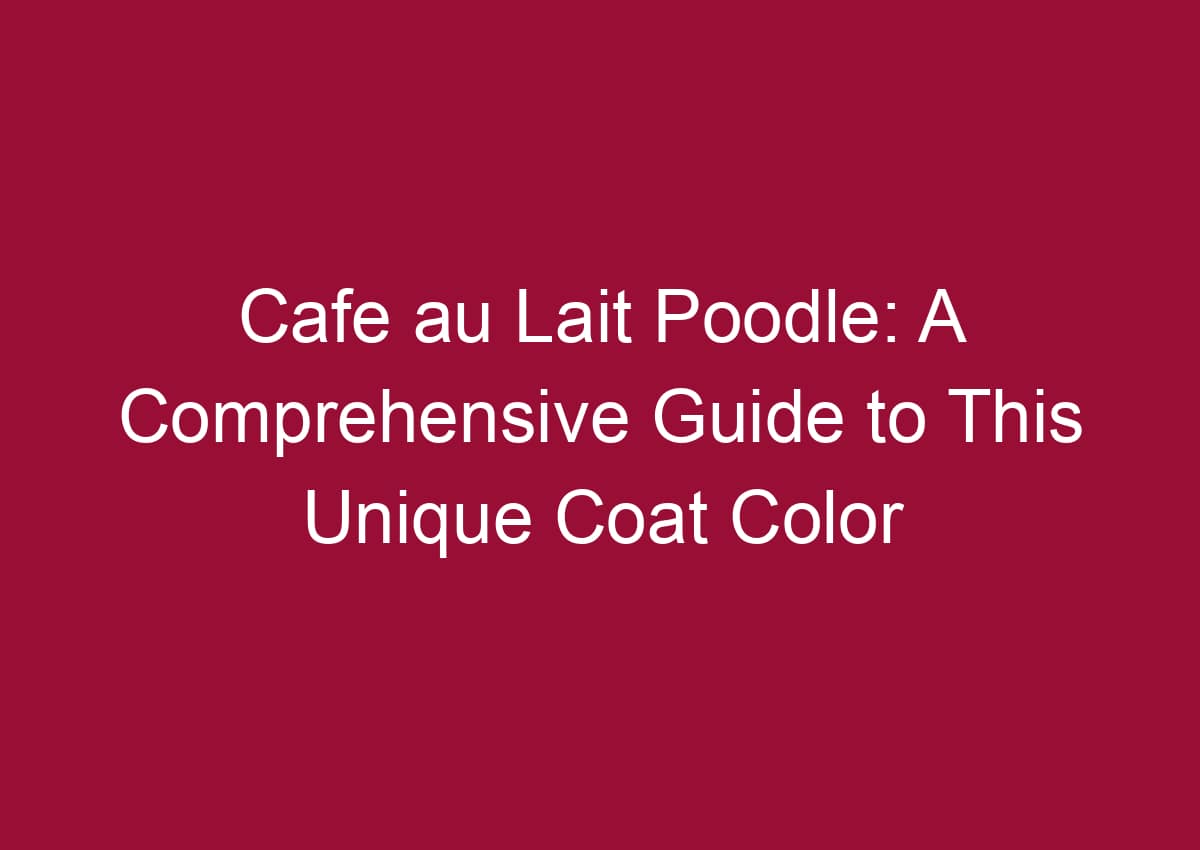 Cafe Au Lait Poodle: A Comprehensive Guide To This Unique Coat Color