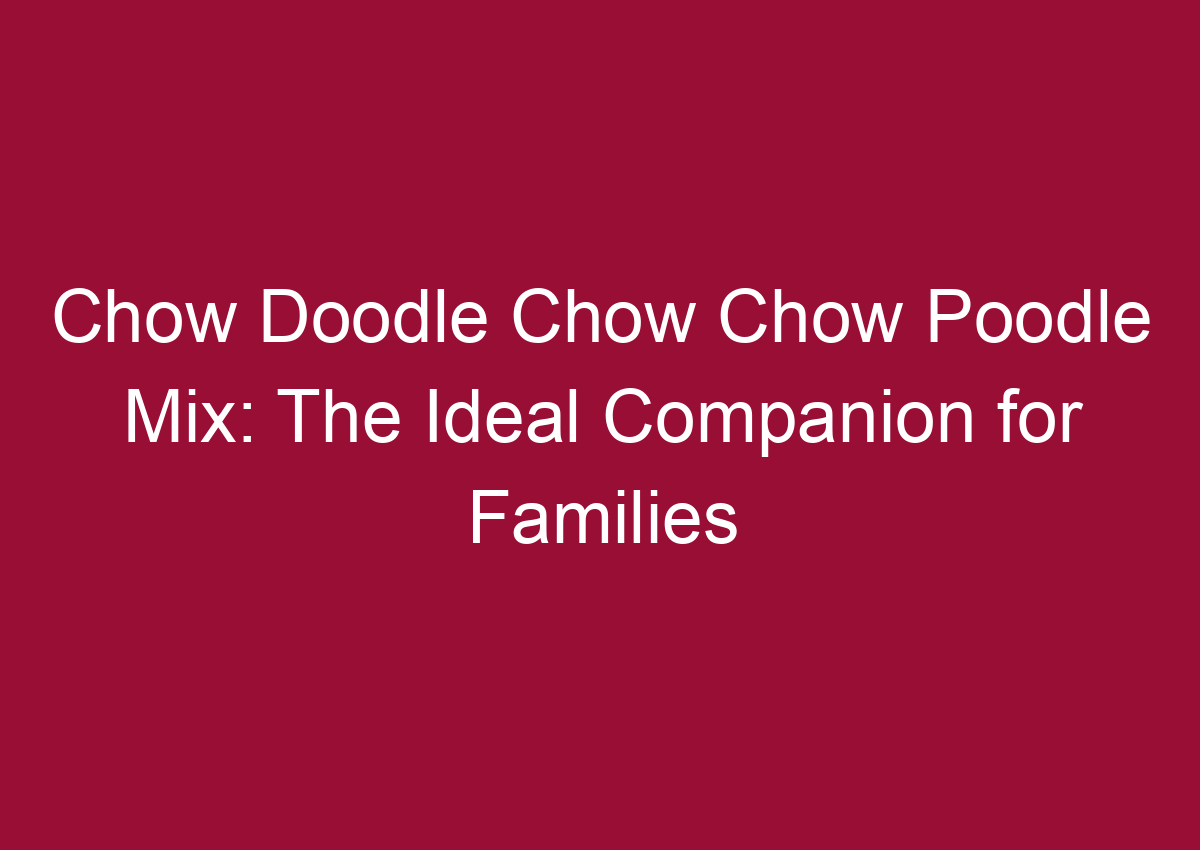 Chow Doodle Chow Chow Poodle Mix: The Ideal Companion For Families