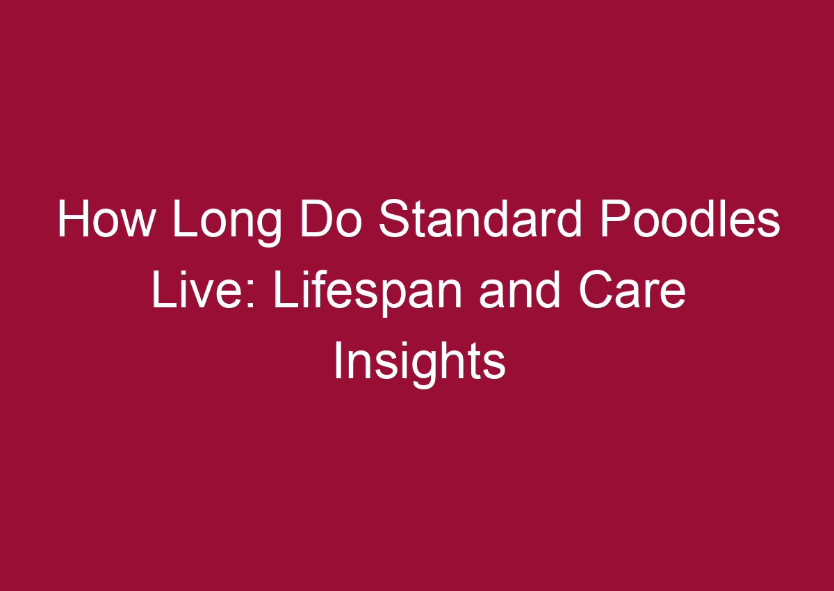 How Long Do Standard Poodles Live: Lifespan And Care Insights
