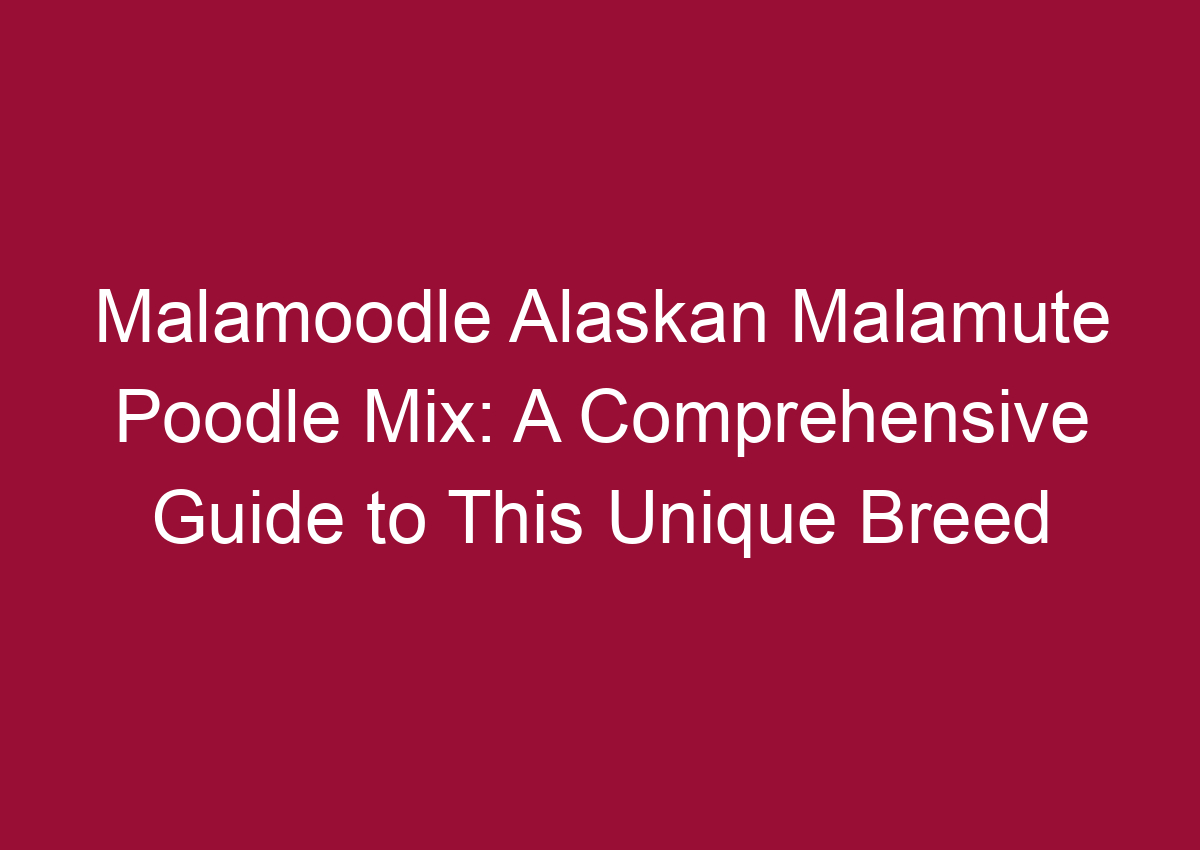 Malamoodle Alaskan Malamute Poodle Mix: A Comprehensive Guide To This ...