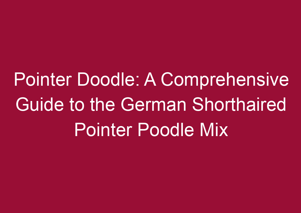 Pointer Doodle: A Comprehensive Guide To The German Shorthaired Pointer ...