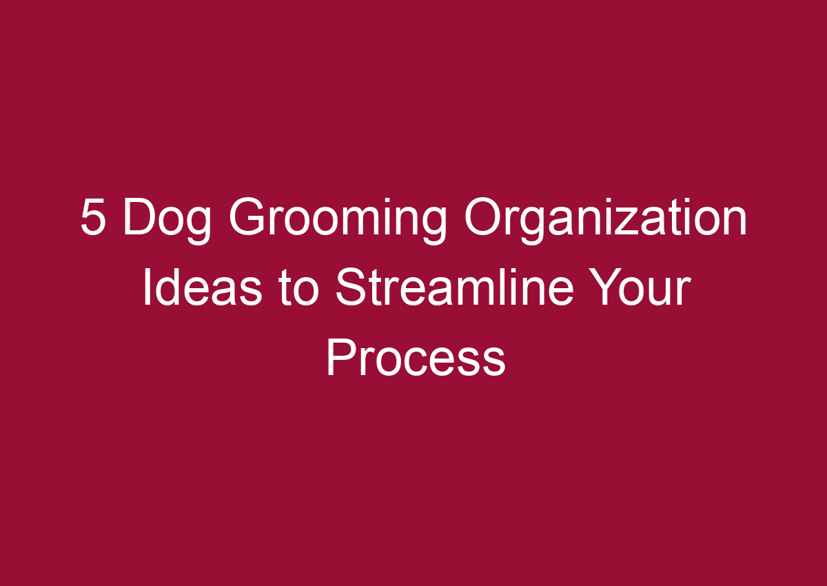5 Dog Grooming Organization Ideas To Streamline Your Process