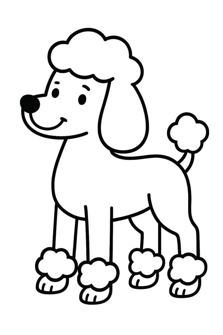 Poodle Outline Drawing Ideas For Creative And Simple Sketching Techniques