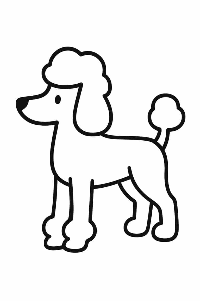 Poodle Outline Drawing Ideas For Creative And Simple Sketching Techniques